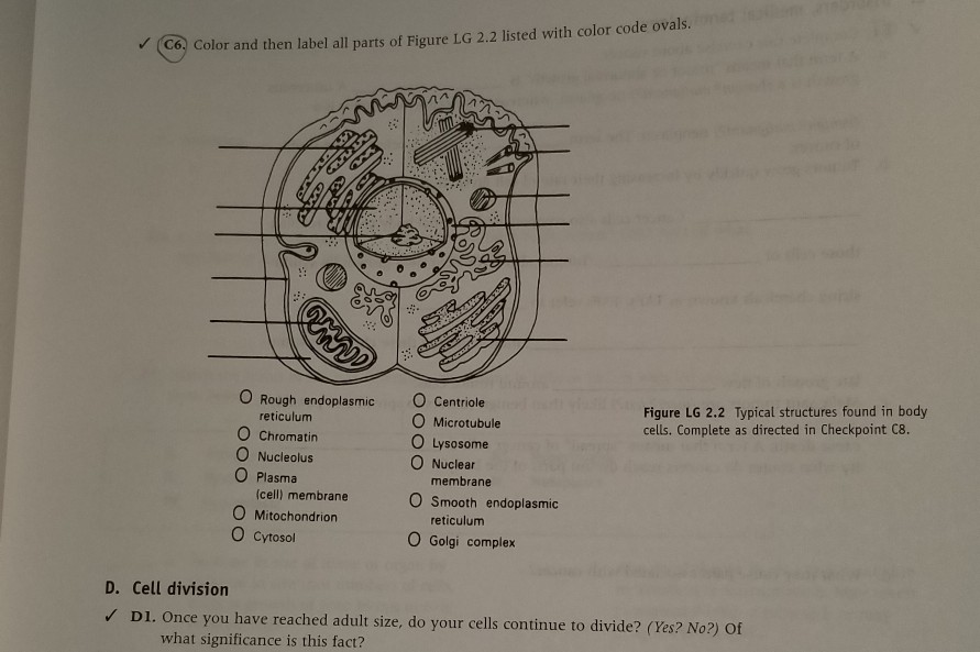 Solved (C6, Color and then label all parts of Figure LG 2.2 | Chegg.com