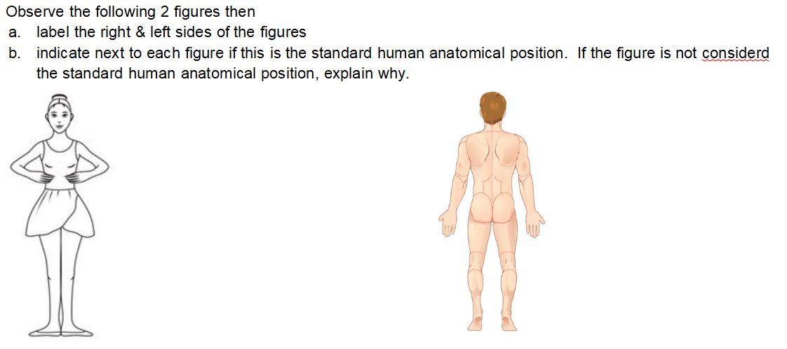 Solved Observe the following 2 figures then a. label the | Chegg.com