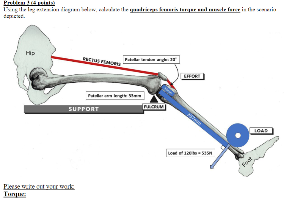 Solved Problem 3 (4 points) Using the leg extension diagram | Chegg.com