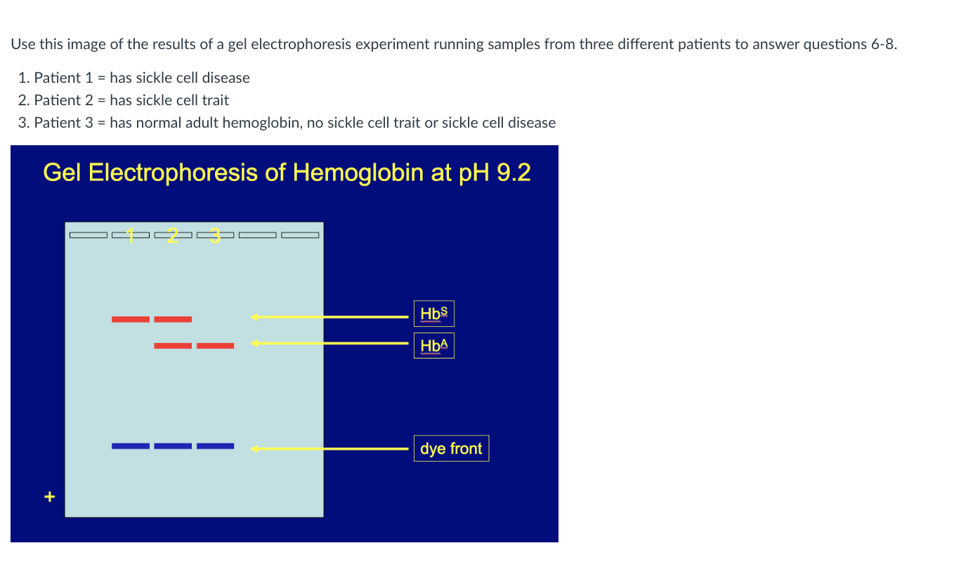 Solved Use the image above to answer questions 1-3 only. | Chegg.com Solved Use the image above to answer questions 1-3 only. | Chegg.com