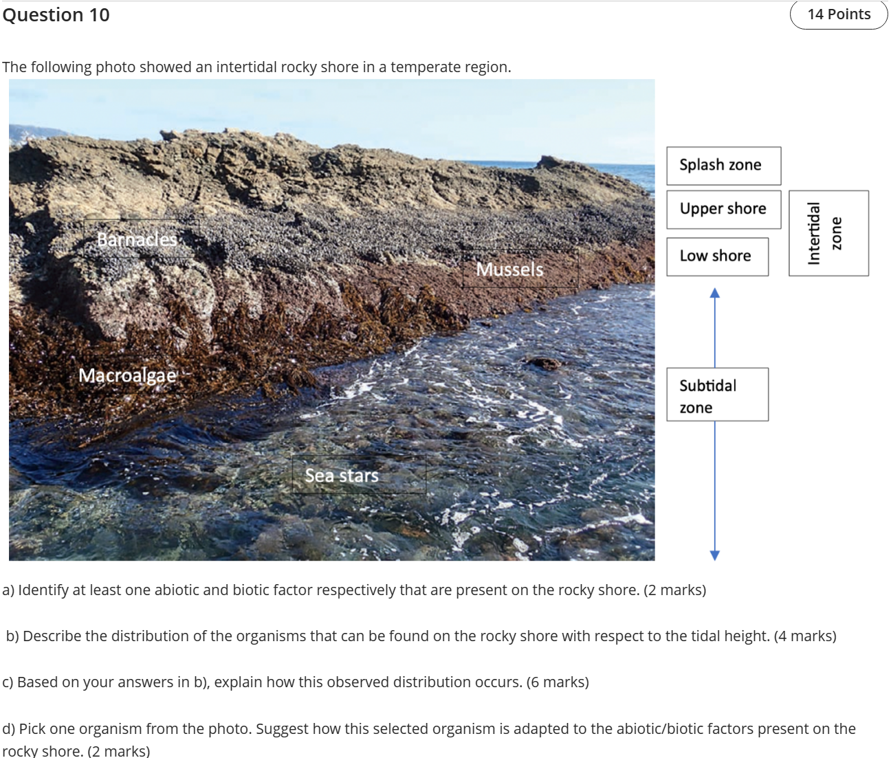 Solved Question 10 The following photo showed an intertidal | Chegg.com