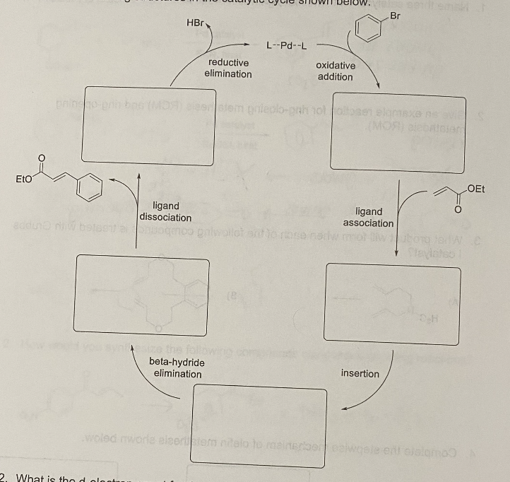 Solved Fill in the missing structures in the catalytic cycle | Chegg.com