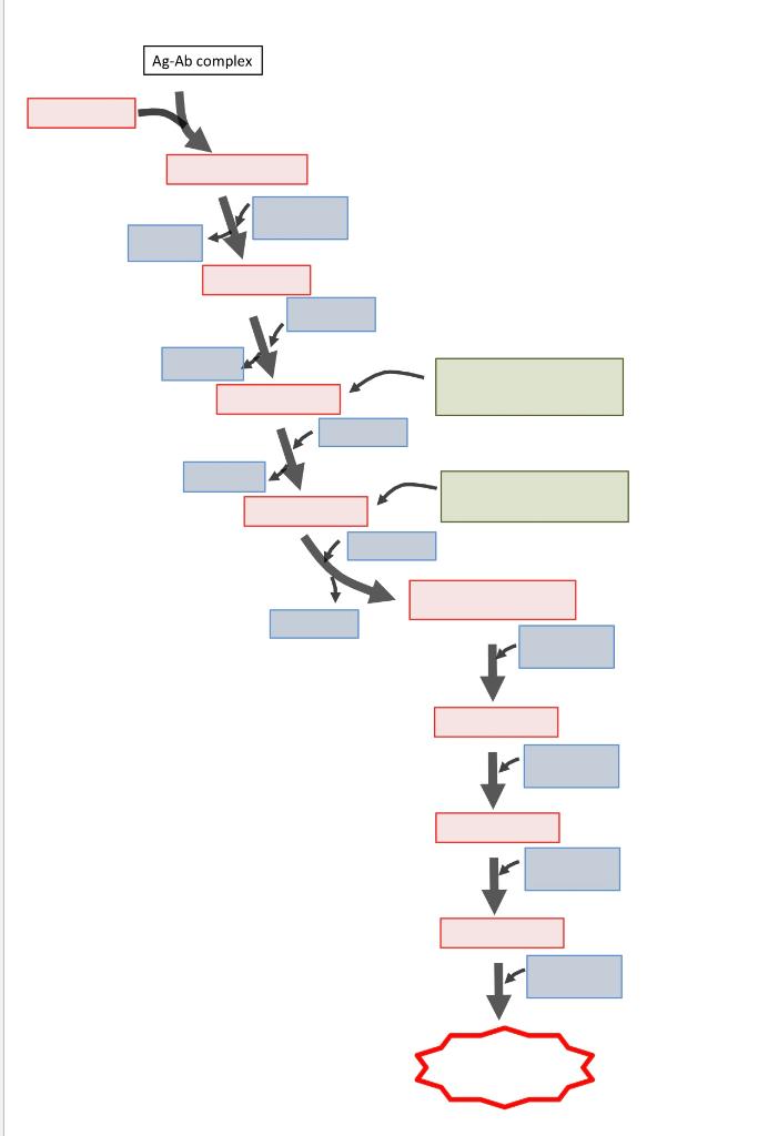 Solved Assignment 1: Complete the complement pathway as | Chegg.com