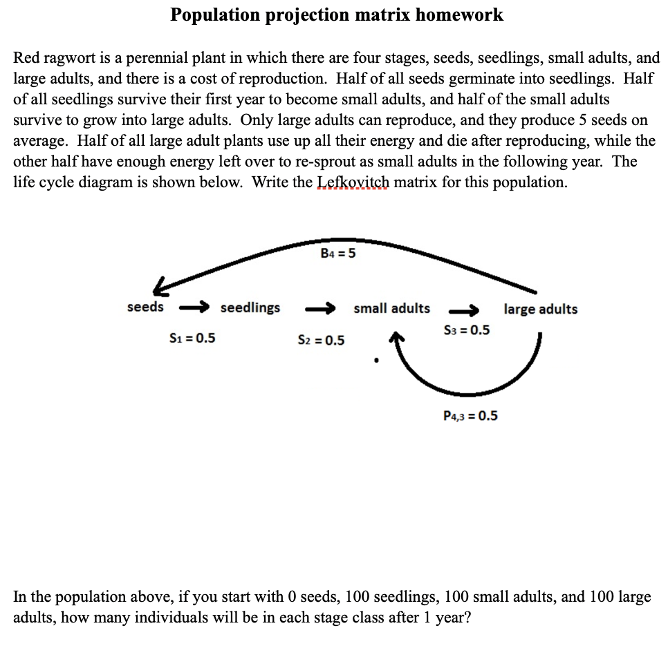 Solved Population projection matrix homework Red ragwort is | Chegg.com