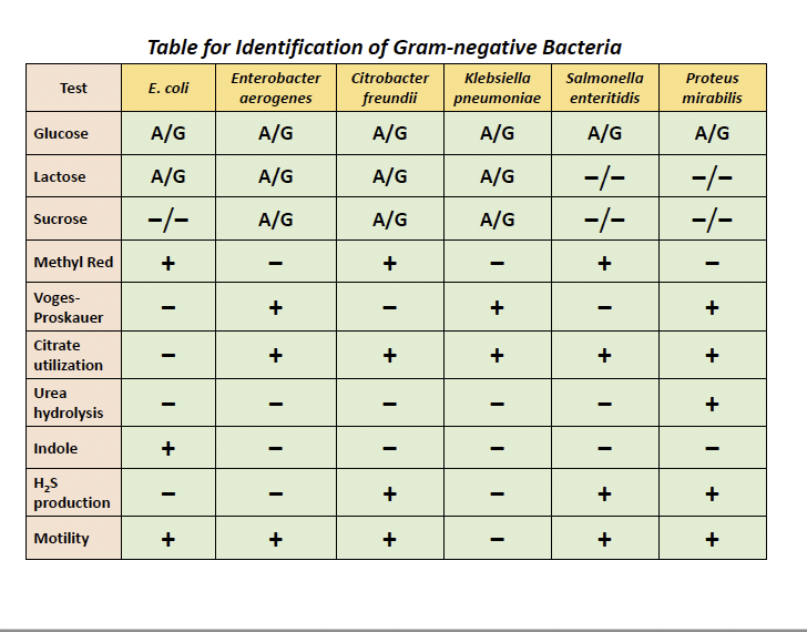 Solved Results - Urea broth Citrate Agar slant - SIM Citrate | Chegg.com