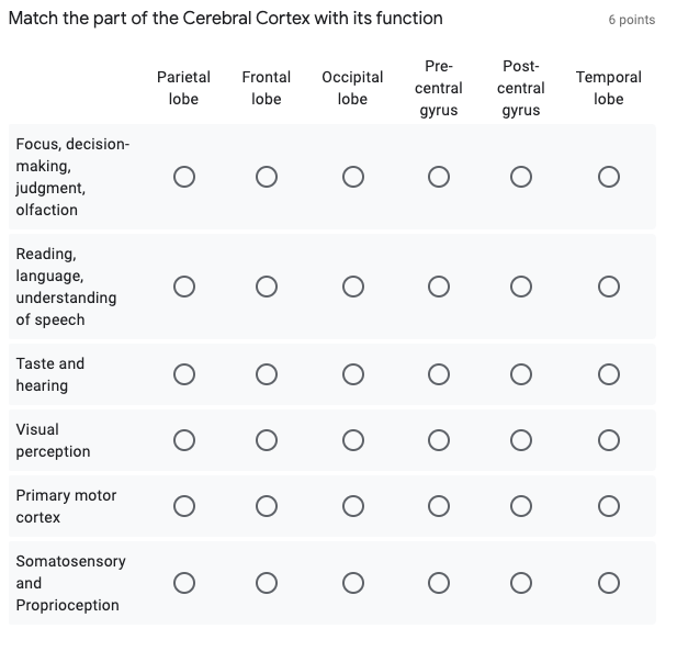 Solved Match the part of the Cerebral Cortex with its | Chegg.com
