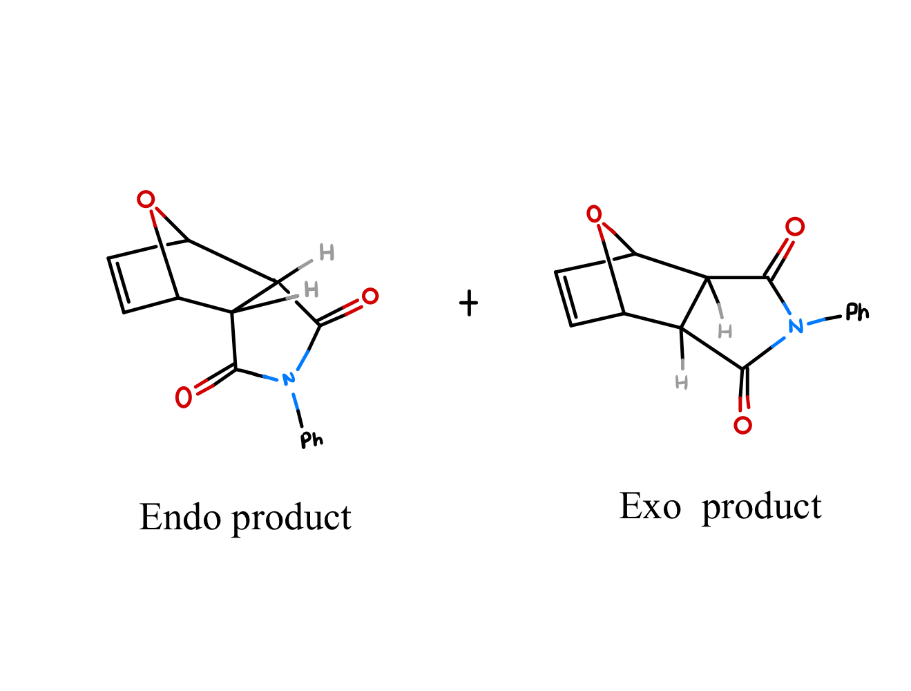 Solved + Endo product Exo product | Chegg.com