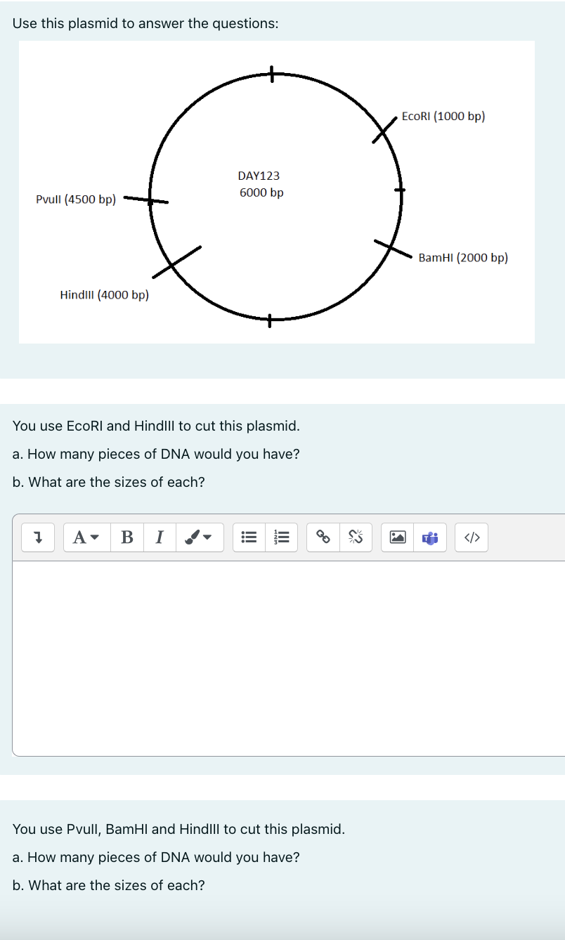 Solved Use this plasmid to answer the questions: You use | Chegg.com