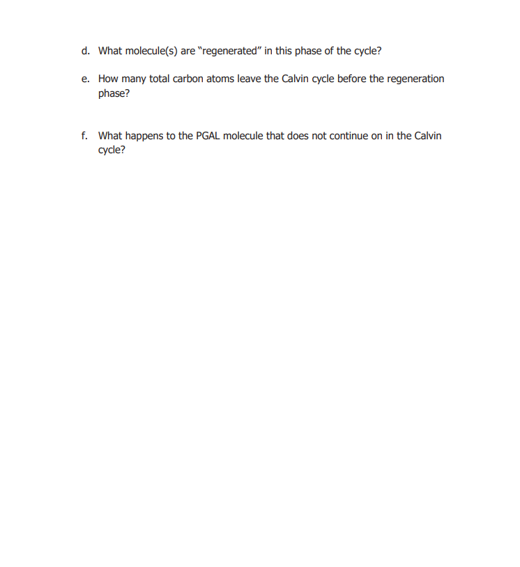 Solved Name: BI0181 Worksheet: Photosynthesis How do | Chegg.com
