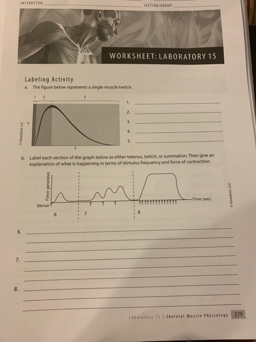 Solved INSTRUCTOR SECTION/GROUP WORKSHEET: LABORATORY 15 | Chegg.com Solved INSTRUCTOR SECTION/GROUP WORKSHEET: LABORATORY 15 | Chegg.com