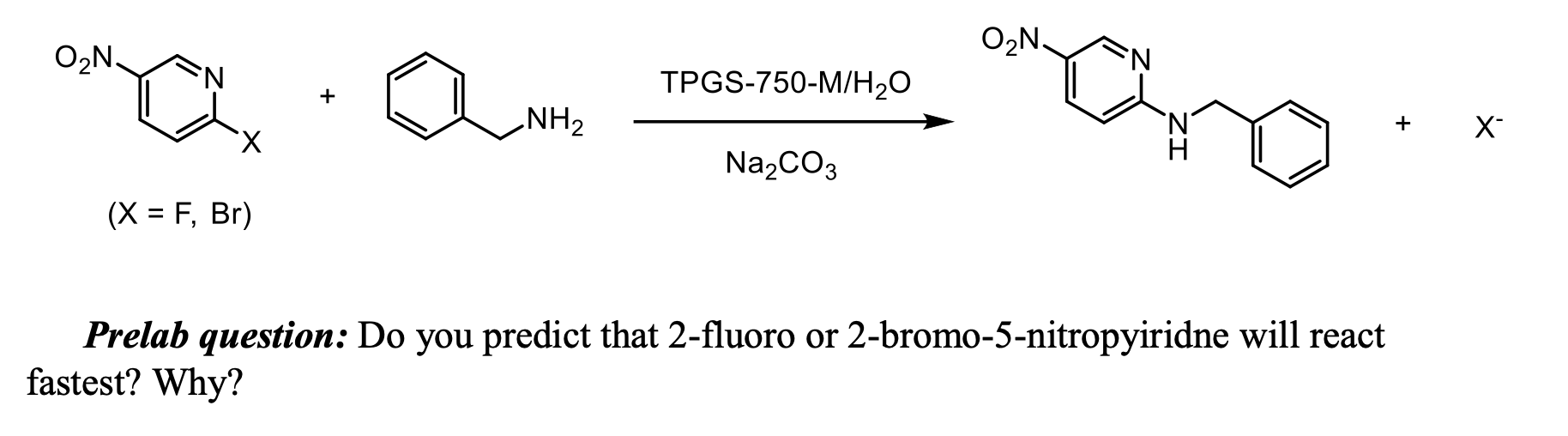 Solved O2N. O2N. N TPGS-750-M/H20 + NH2 'N + X X Na2CO3 (X = | Chegg.com