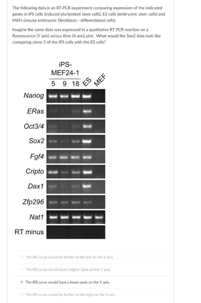 Solved The following data is an RT-PCR experiment comparing | Chegg.com