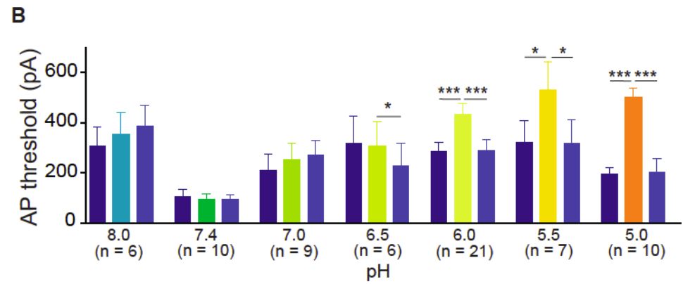 In figure B, the researchers find effects on | Chegg.com