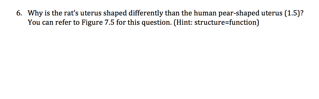 Solved 6. Why is the rat's uterus shaped differently than | Chegg.com