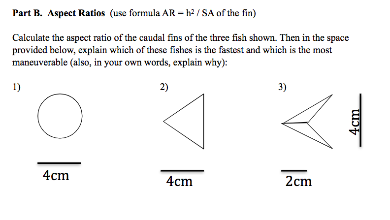 Solved Part B. Aspect Ratios (use formula AR = h2 / SA of | Chegg.com