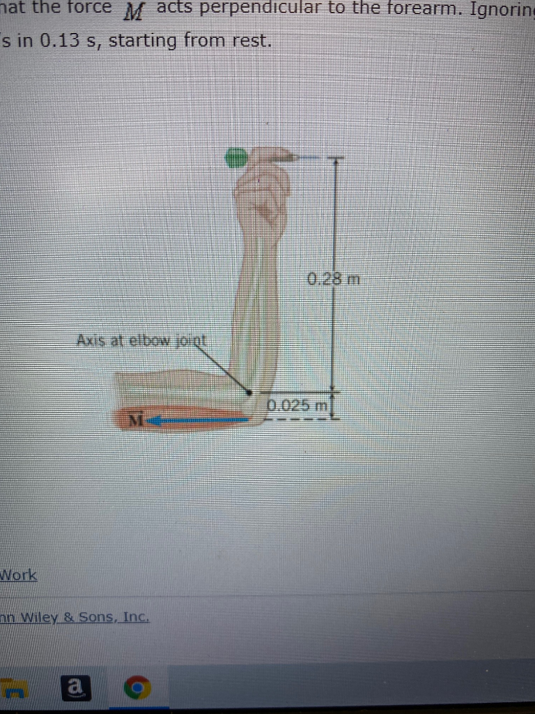 Solved The motion of the human forearm in throwing a dart. | Chegg.com