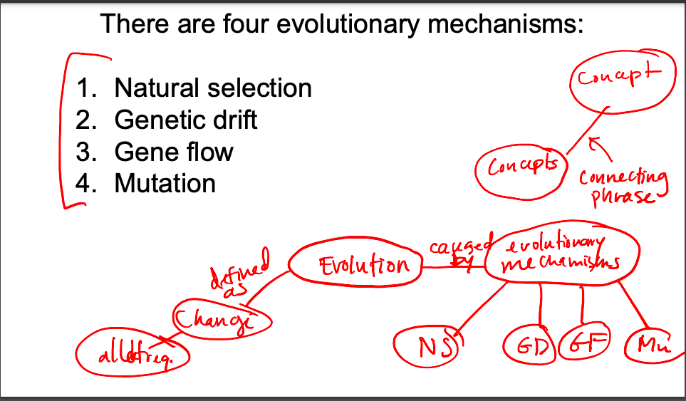 Solved Please help me create a concept map based on the four | Chegg.com