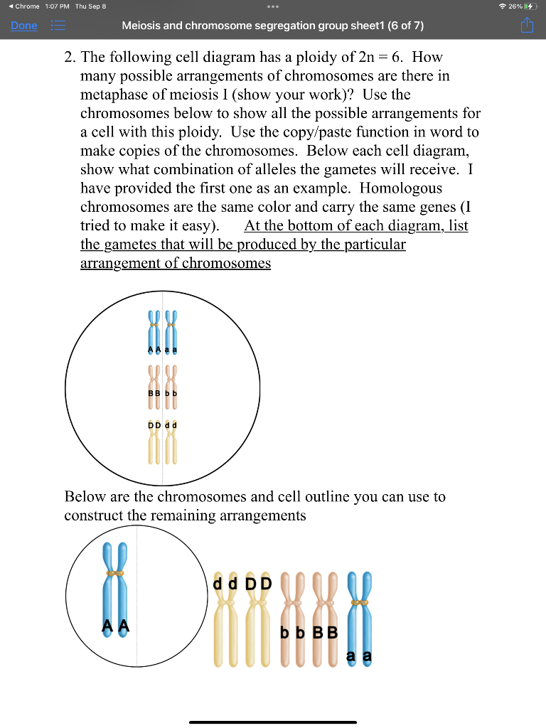 2. The following cell diagram has a ploidy of 2n=6. | Chegg.com