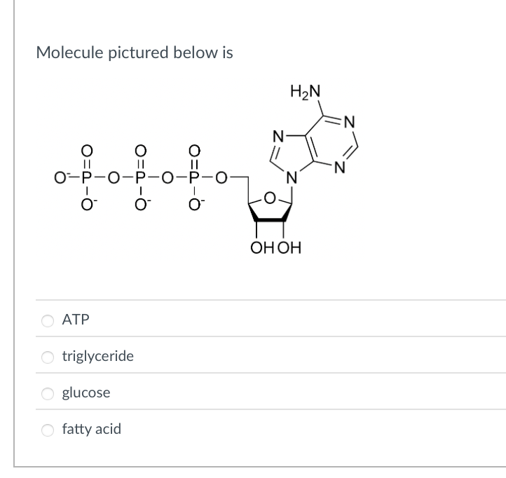Solved Molecule pictured below isATPtriglycerideglucosefatty | Chegg.com