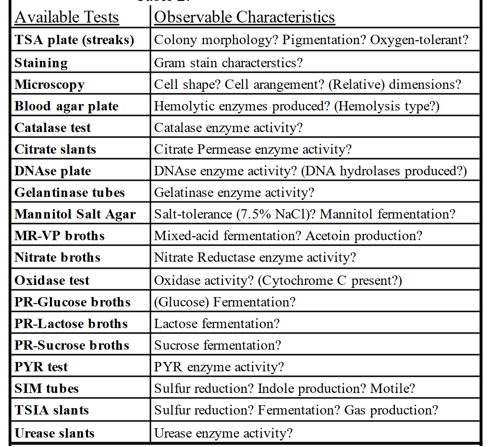 Solved Please create a dichotomous key for the following | Chegg.com