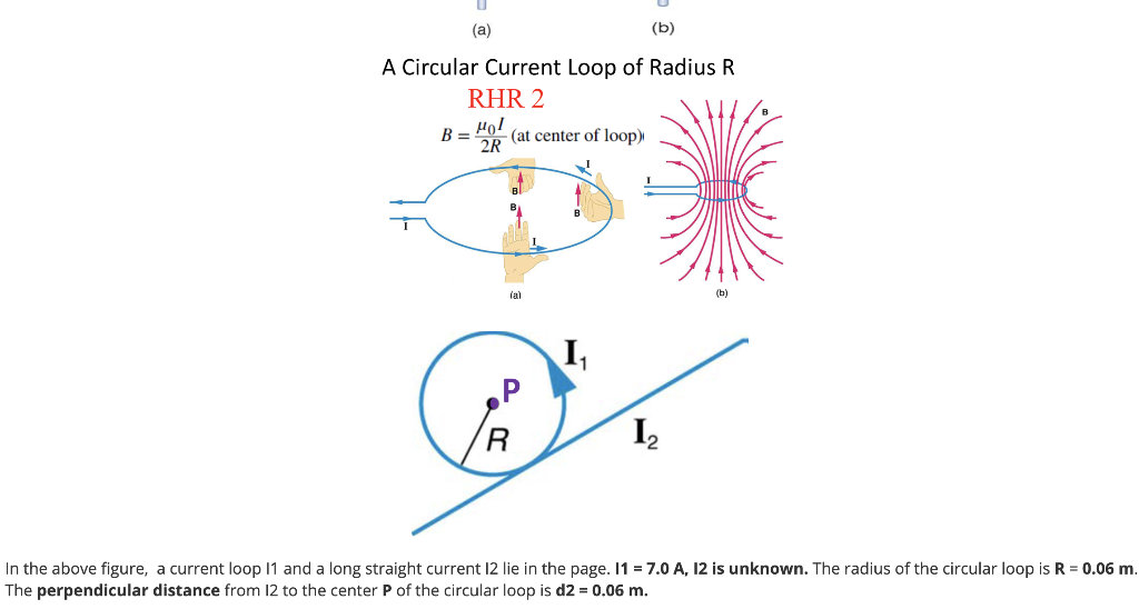 Solved (a) (b) A Circular Current Loop of Radius R RHR 2 Mo7 | Chegg.com