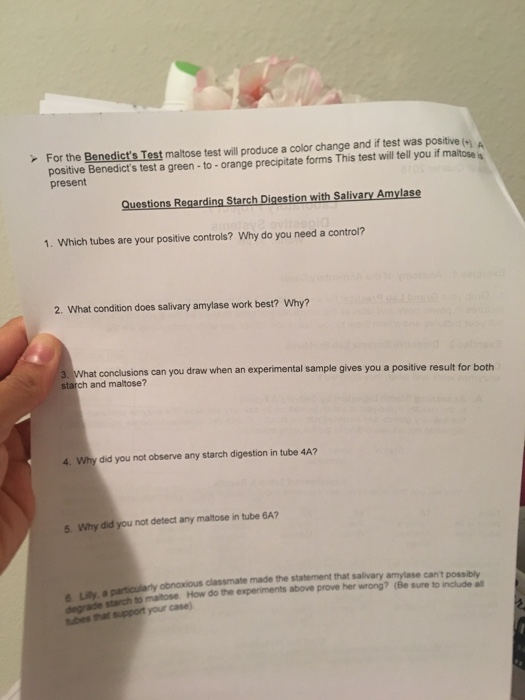 Solved For the Benedict's Test maltose test will produce a | Chegg.com