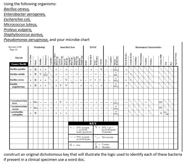 Solved Using the following organisms: Bacillus cereus, | Chegg.com