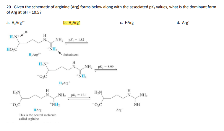 Solved 20. Given the schematic of arginine (Arg) forms below | Chegg.com