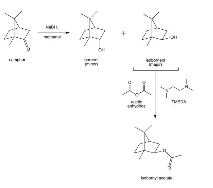 Solved what is the reaction mechanism of this? The second | Chegg.com