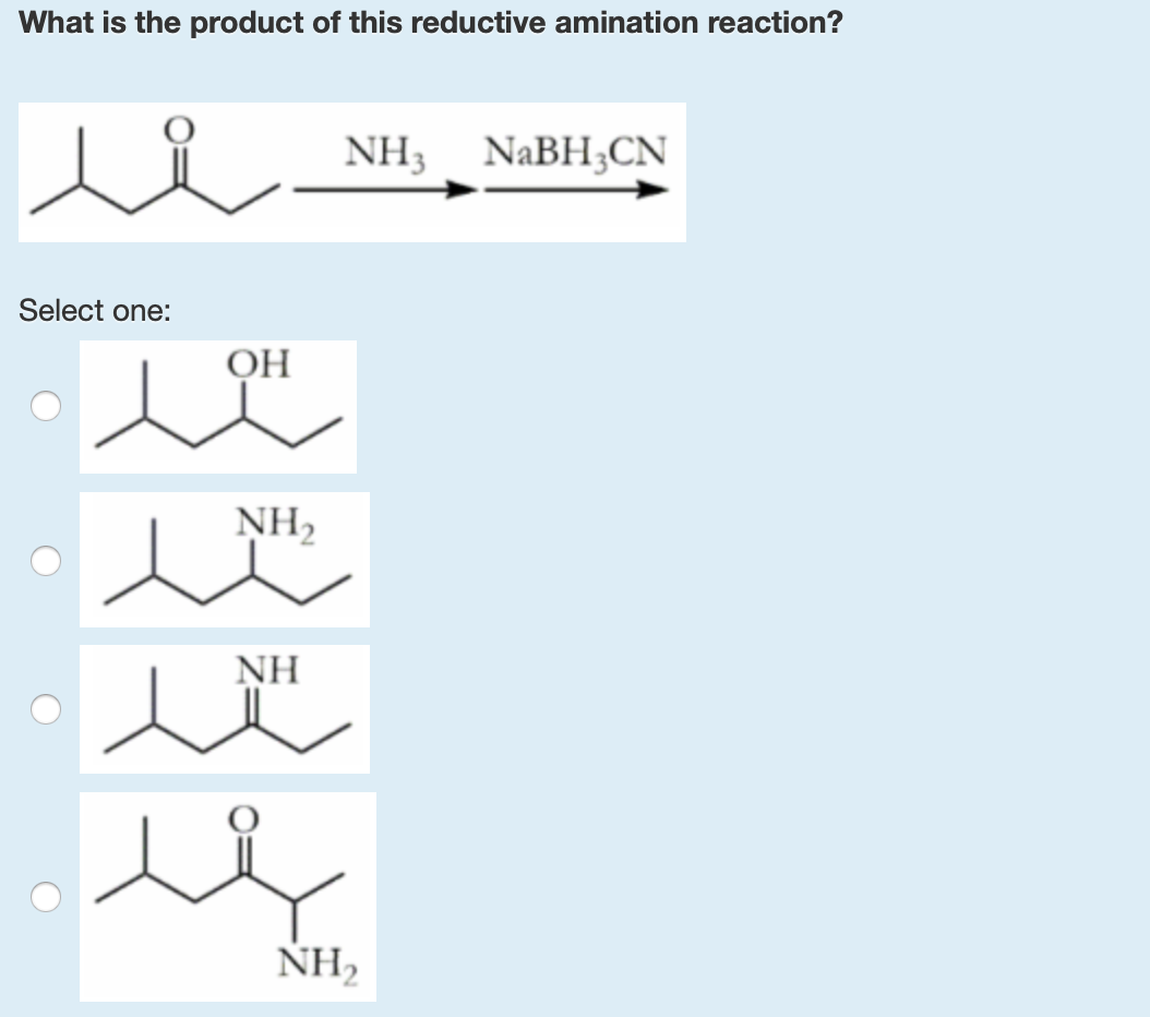 Solved What is the product of this reductive amination | Chegg.com