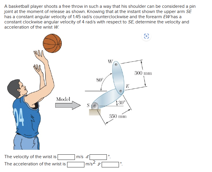 Solved A basketball player shoots a free throw in such a way | Chegg.com