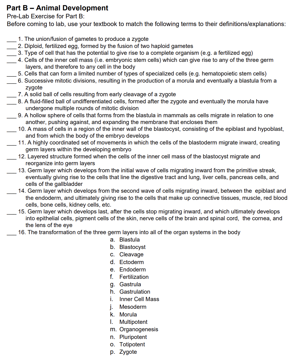 Solved Part B - Animal Development Pre-Lab Exercise for Part | Chegg.com