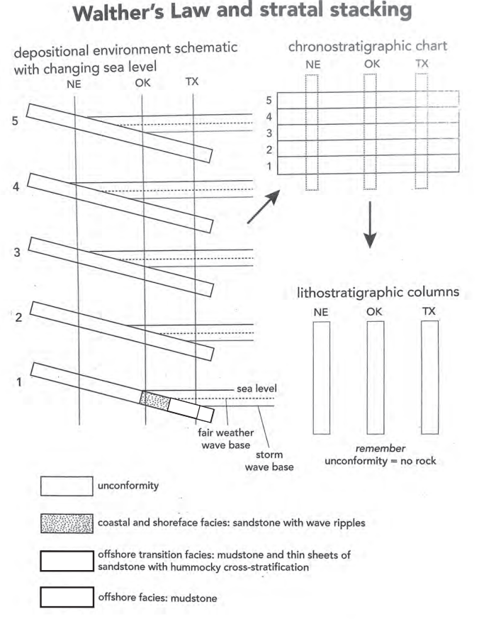 Solved Lab 6 Stratigraphy Part A: Walther's Law Activity The | Chegg.com