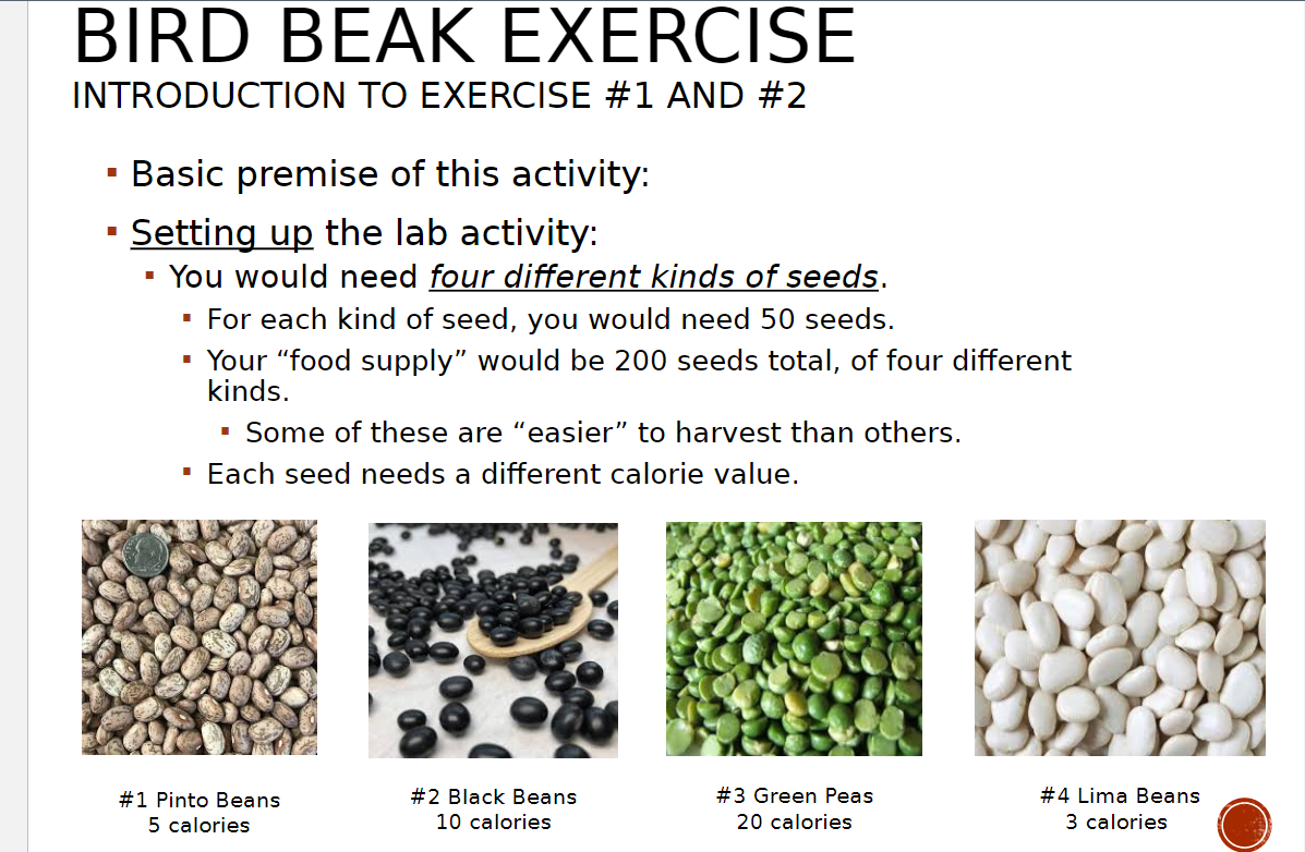 NATURAL SELECTION - Bird Beaks vs Seed Type Data | Chegg.com