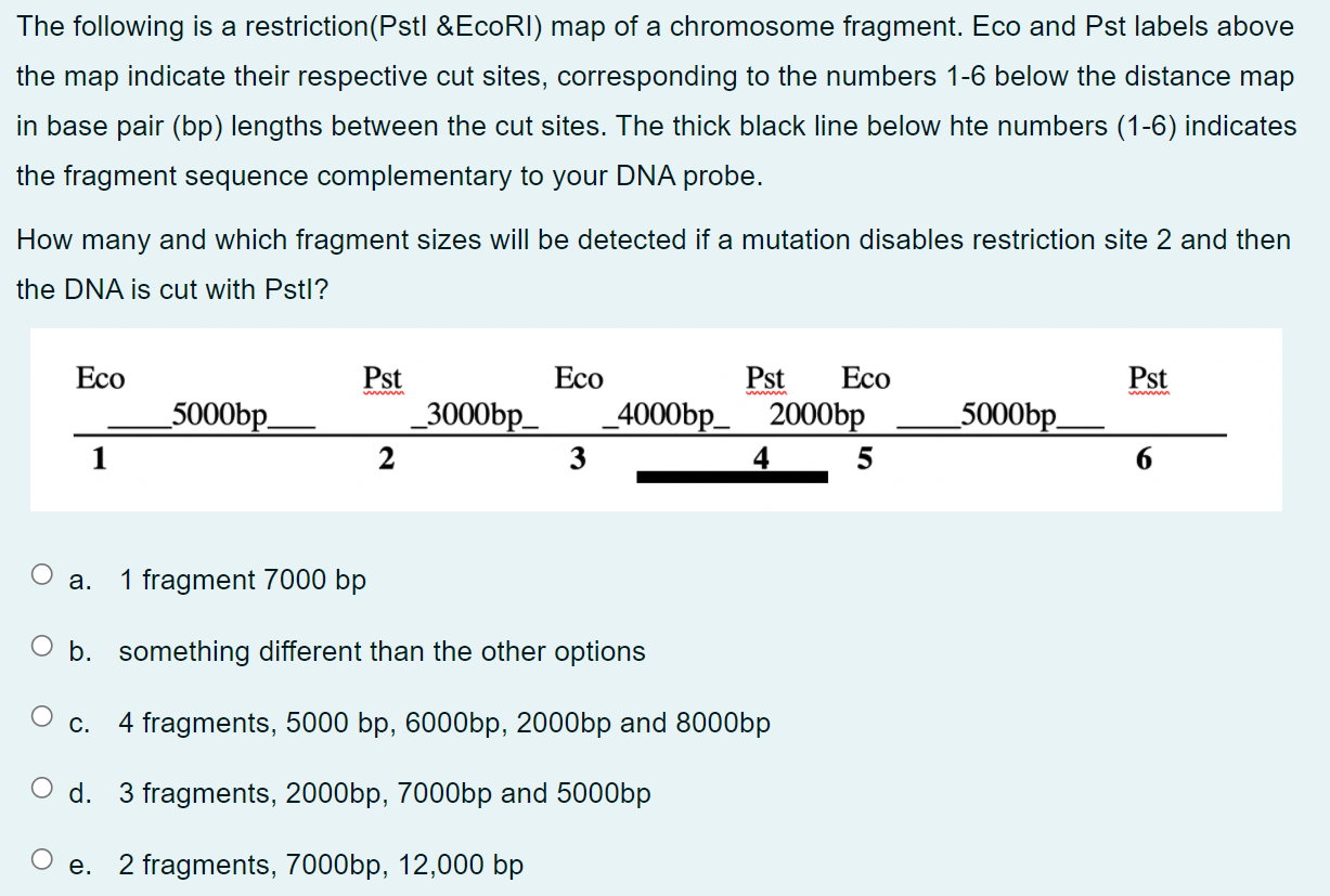 Solved The following is a restriction(Pstl &EcoRI) map of a | Chegg.com
