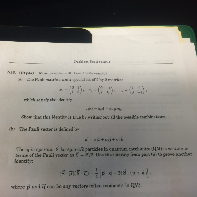 Solved Pauli Vector!! help! dont know how to solve Pauli | Chegg.com