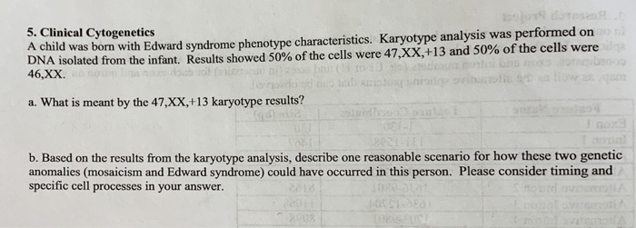 Solved A child was born with Edward syndrome phenotype | Chegg.com