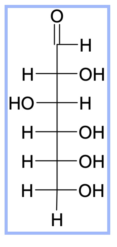 Solved The Fischer projection of (+)-glucose is shown | Chegg.com