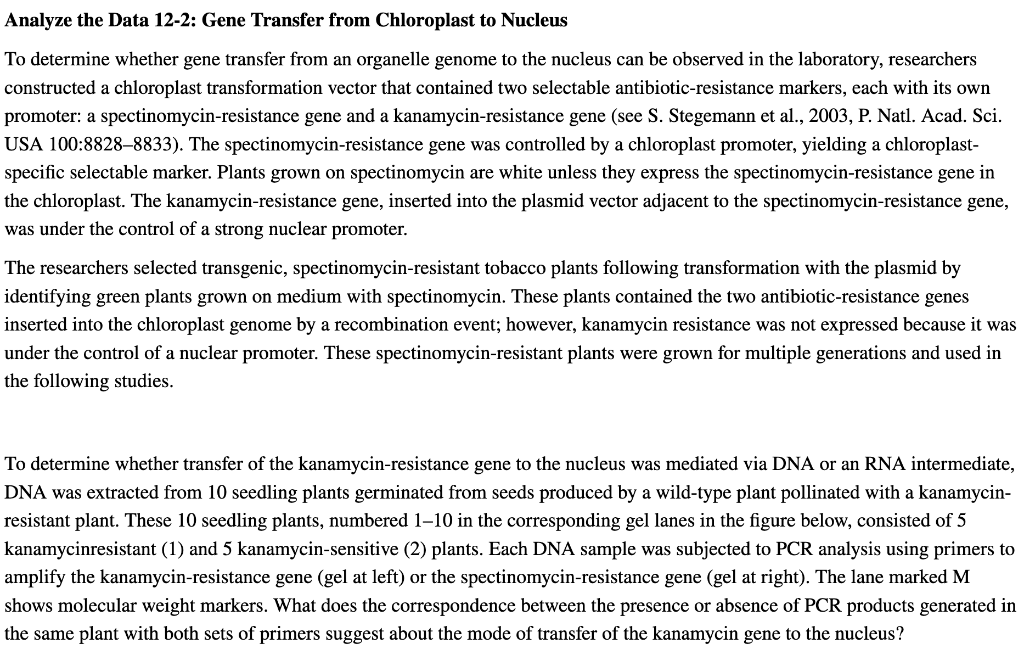 constructed a chloroplast transformation vector that | Chegg.com