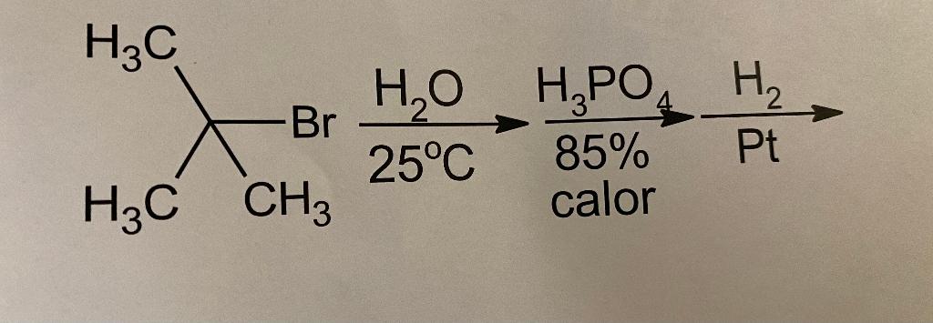 Solved Draw The Structure Of The Expected Main Product Of