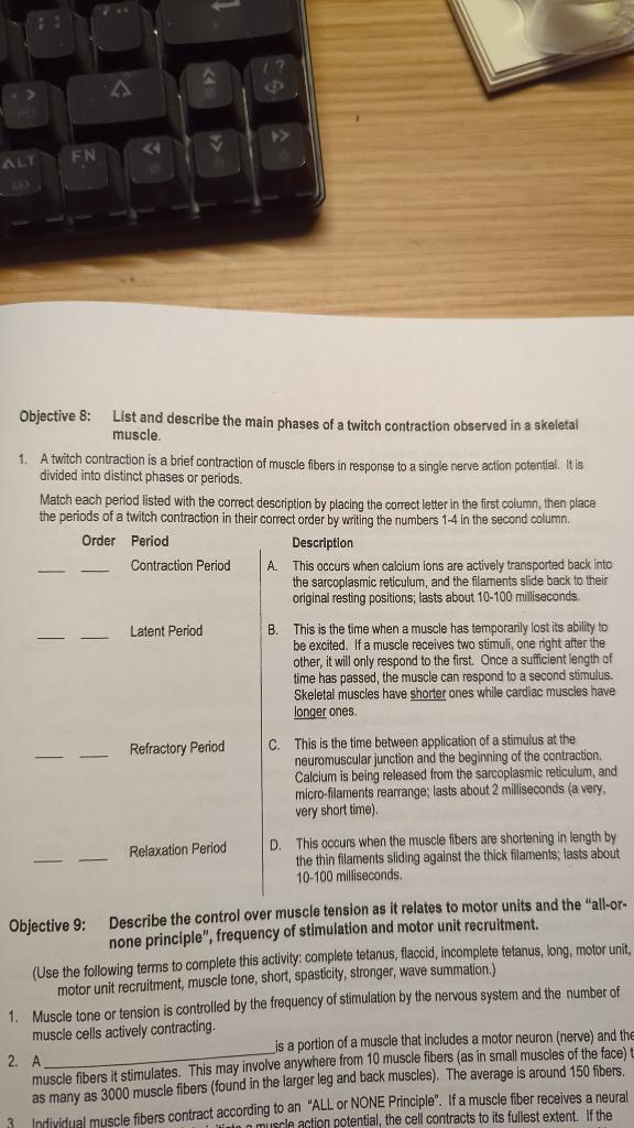 Solved Objective 8: List and describe the main phases of a | Chegg.com