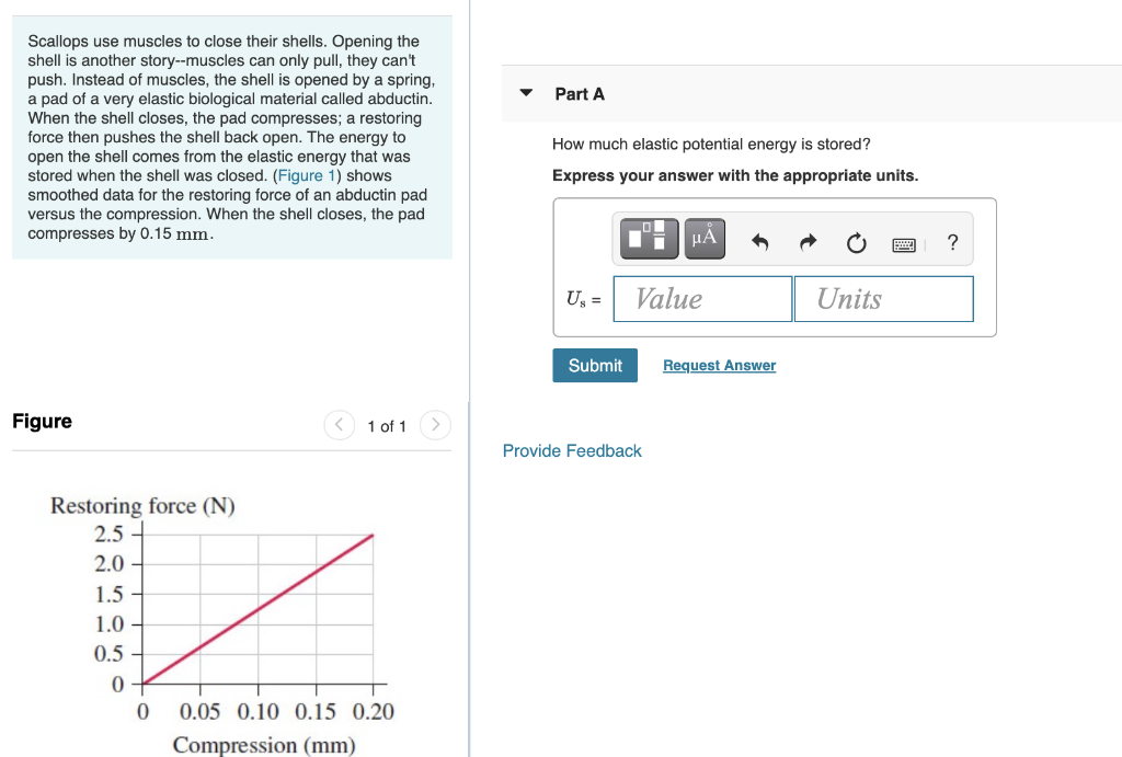 Solved Part A Scallops use muscles to close their shells. | Chegg.com