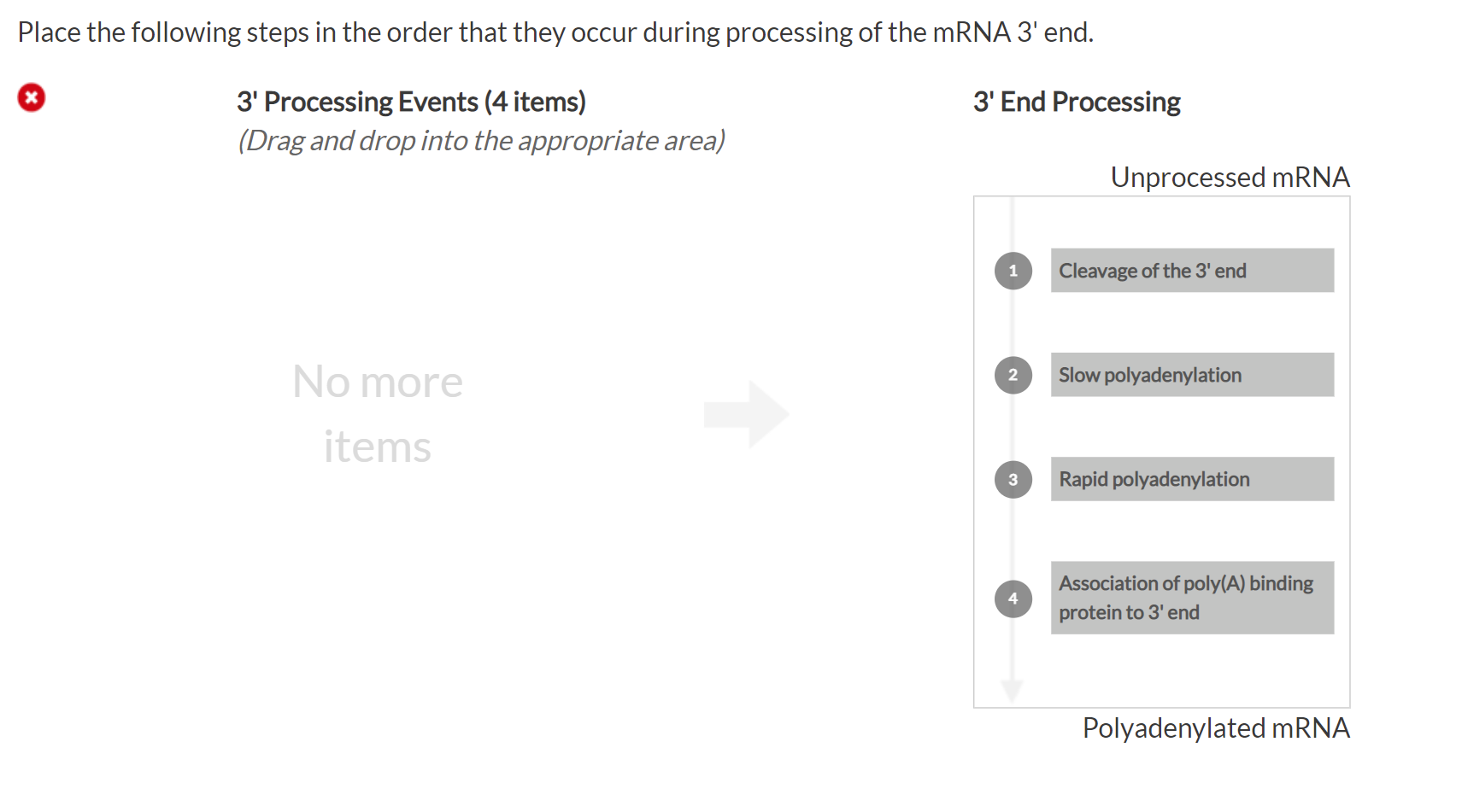 Solved Place the following steps in the order that they | Chegg.com