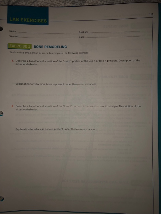 Solved 115 LAB EXERCISES Name: Section Course: Date EXERCISE | Chegg.com