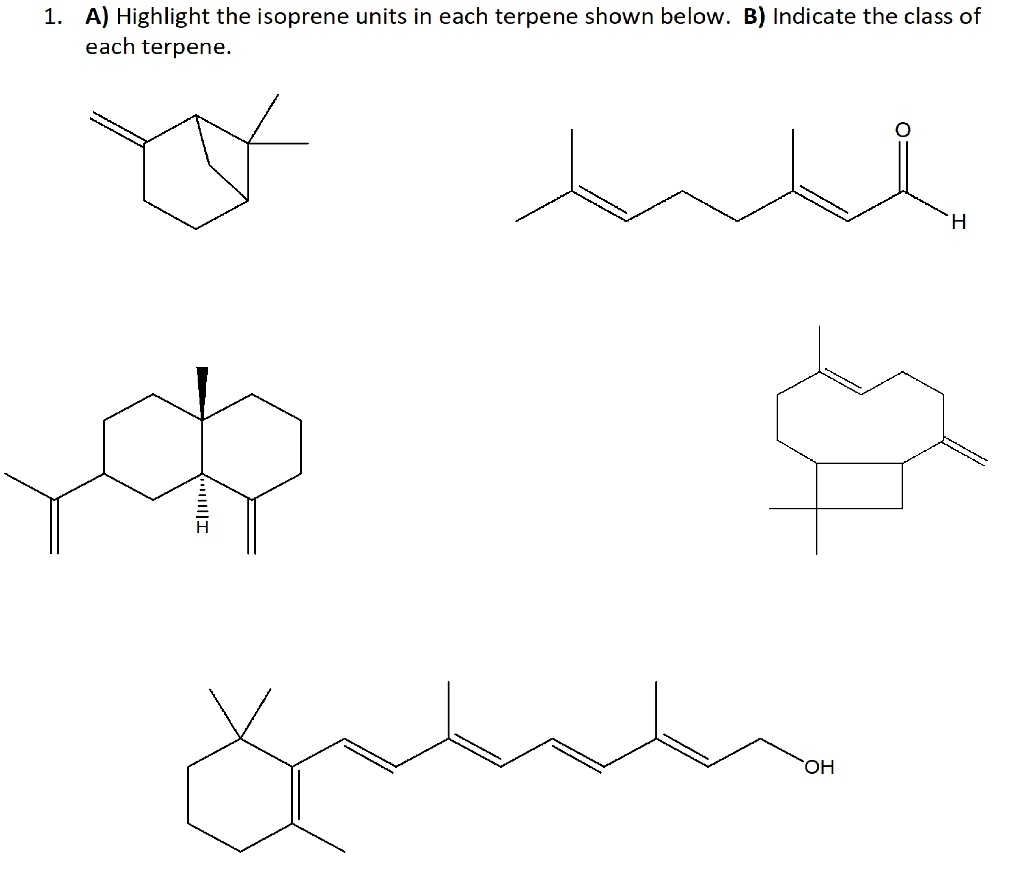 Solved 1. A) Highlight the isoprene units in each terpene | Chegg.com