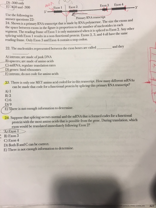 Solved Shown is a primary RNA transcript that is made by | Chegg.com