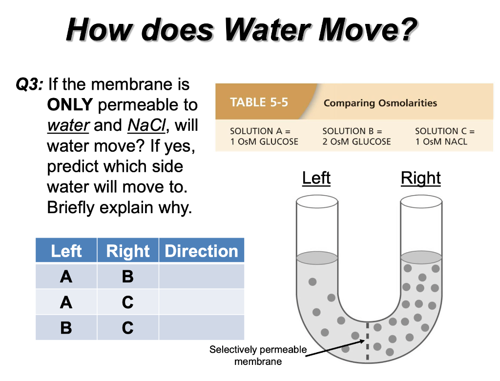 Solved How does Water Move? TABLE 5-5 Comparing Osmolarities | Chegg.com