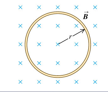 Solved A circular loop of wire with radius 0.0280 m and | Chegg.com