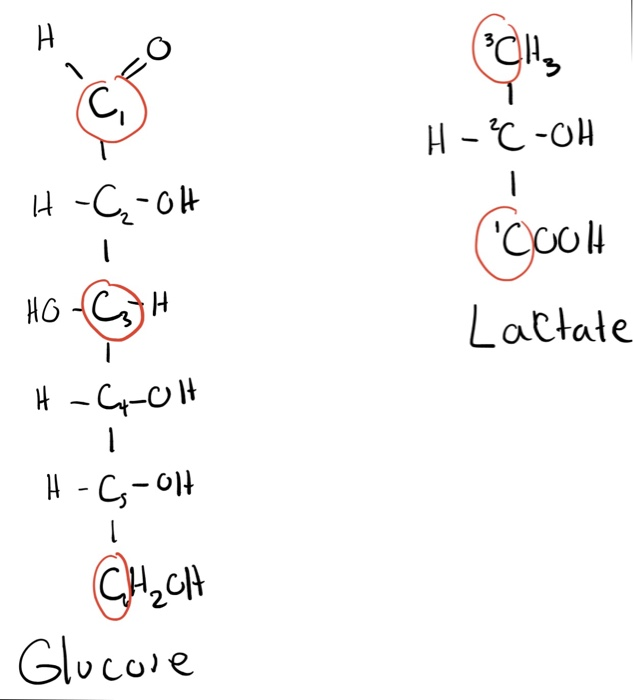 Solved Please help with this question. I keep getting the | Chegg.com