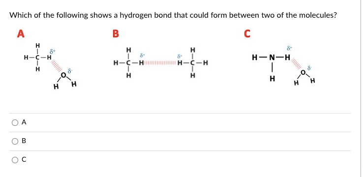 Solved Label the following biological entities from smallest | Chegg.com